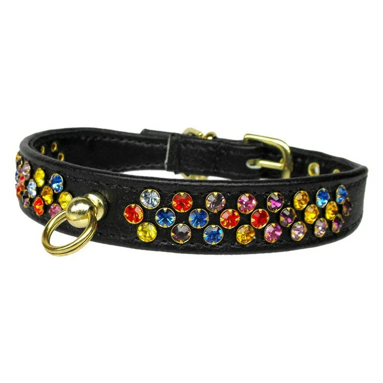 Confetti Collar – Paw Dazzle Pet Bakery and Boutique